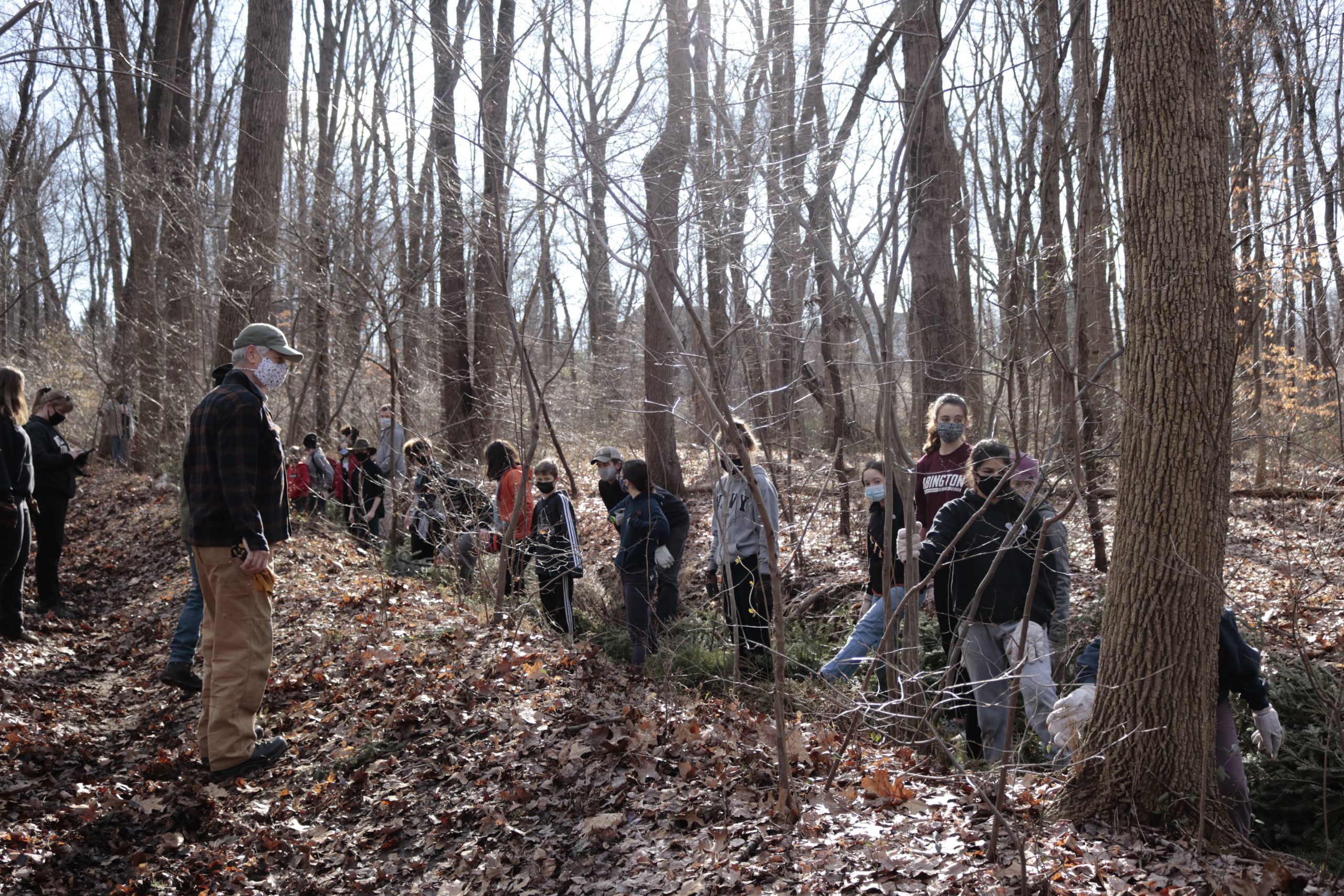 Free-A-Tree at Farmstead Park (Volunteer Opportunity) - Pennypack ...