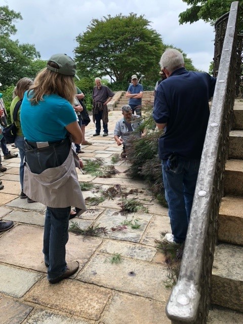The Basics of Pruning Workshop - Pennypack Ecological Restoration ...